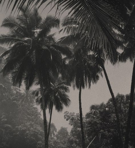 Rumi Skin – Bespoke Studio